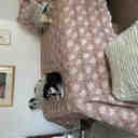 Birch Lane™ Jeanna 20" Wide Pouf Ottoman & Reviews | Wayfair